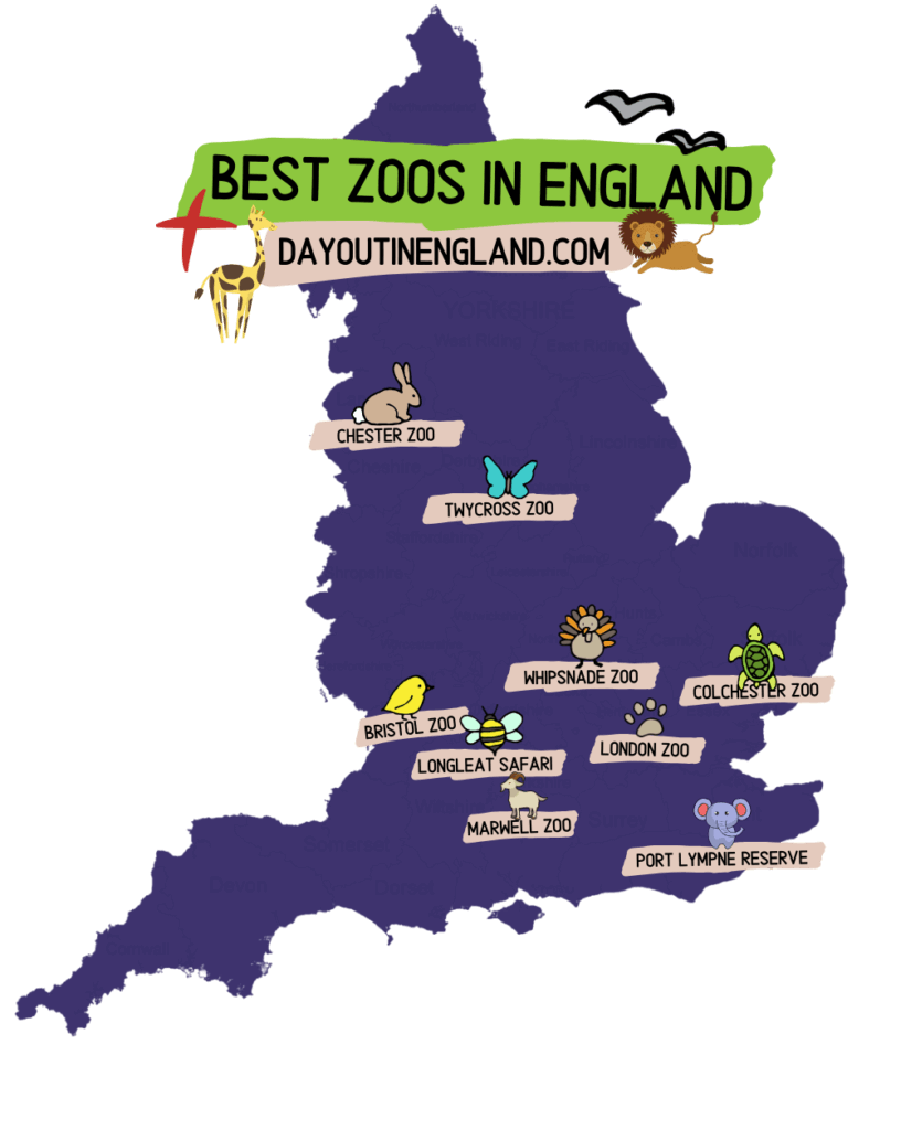18 Best Zoos in England for a Day Out in 2026 | Day Out in England