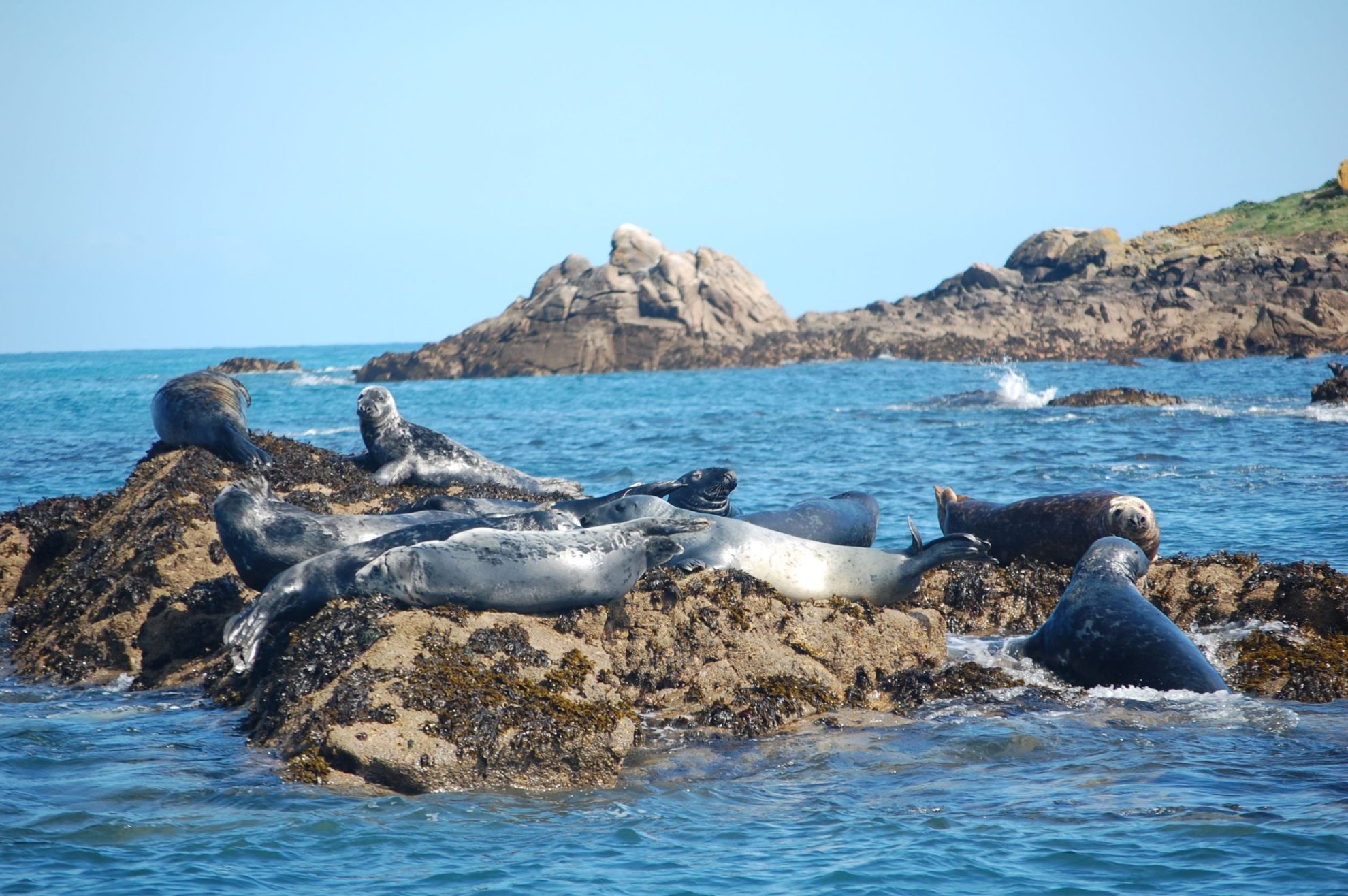 22 Interesting Facts About the Isles of Scilly | Day Out in England