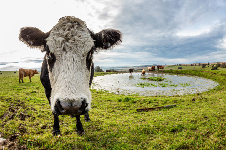 10 Beautiful National Parks in England: Which to Visit in 2025? | Day ...