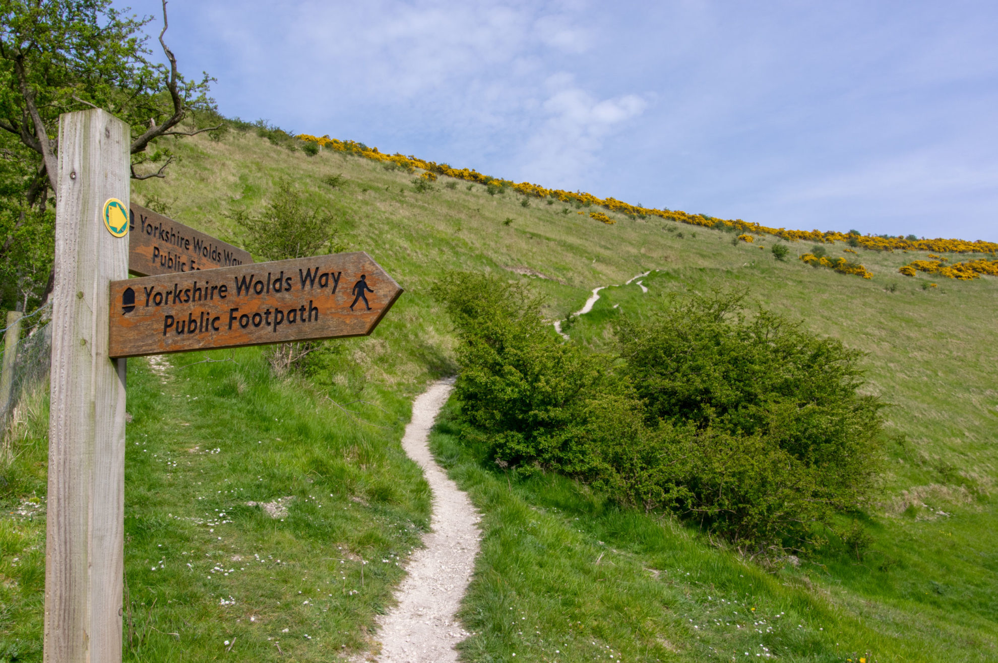 14 National Trails in England for Peace & Quiet | Day Out in England