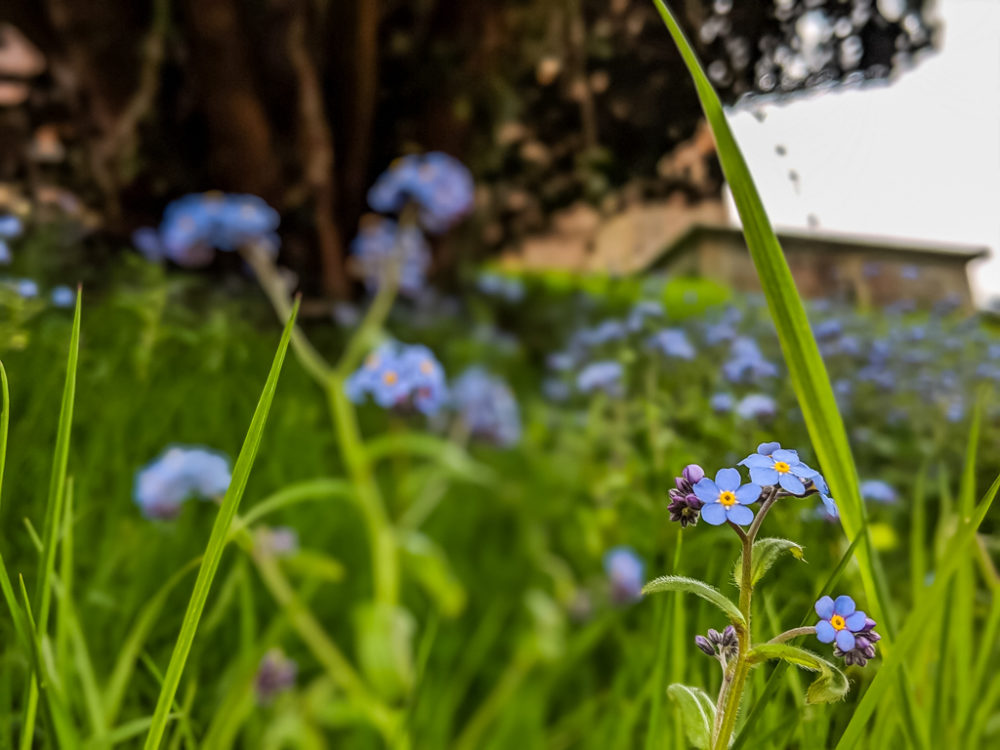 10 Best Days Out in March in England for 2025 | Day Out in England