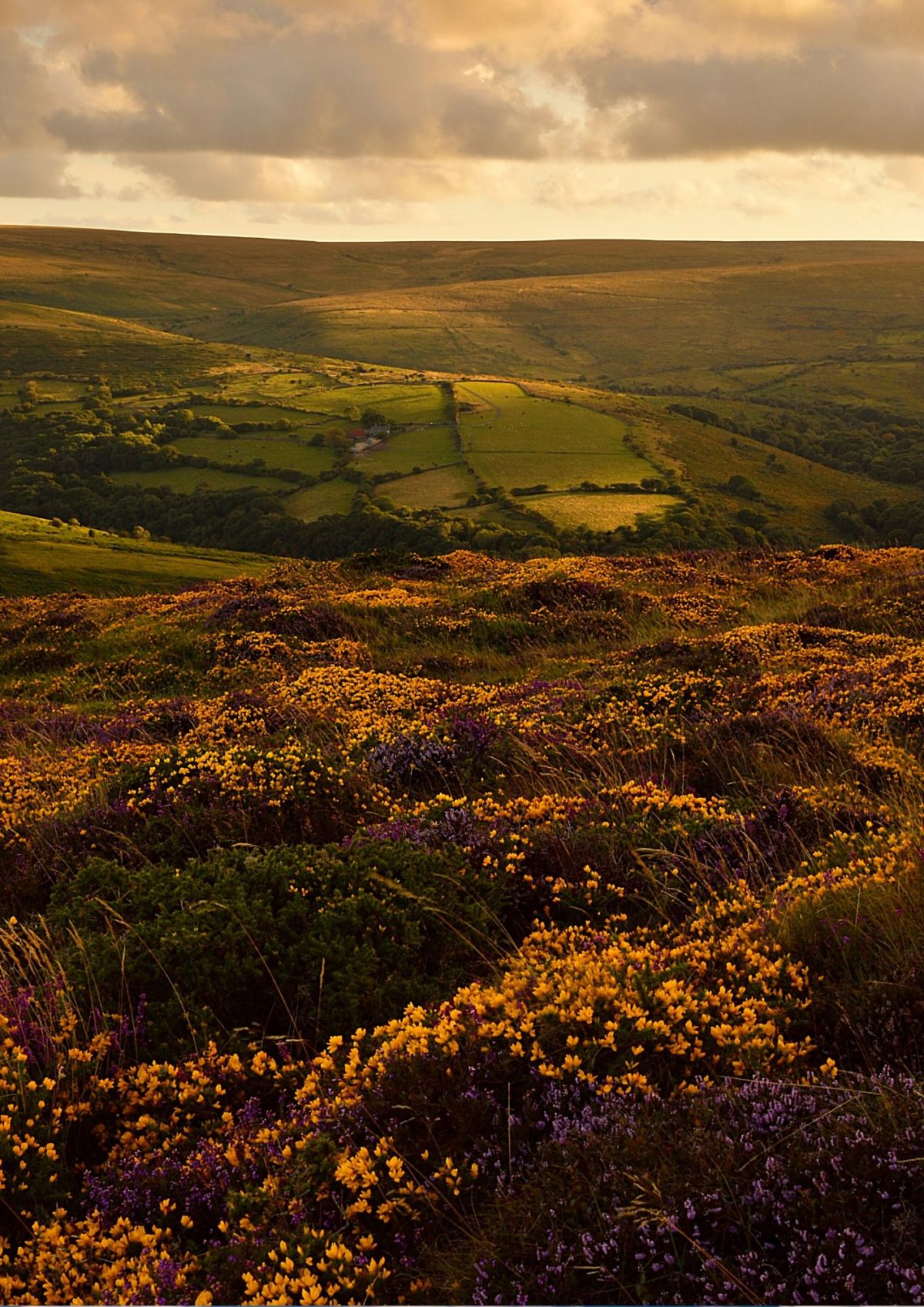 10 Epic Picnic Spots in England's National Parks | Day Out in England