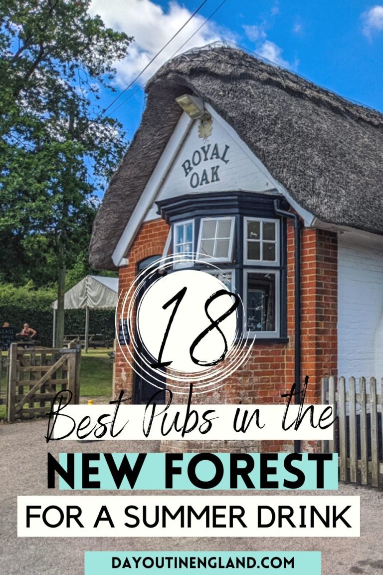 18 BEST New Forest Pubs for 2025 (with Photos!) | Day Out in England