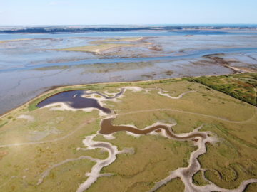 How to Do the Solent Way Walk in 6 Day Trips (by Public Transport & Car ...