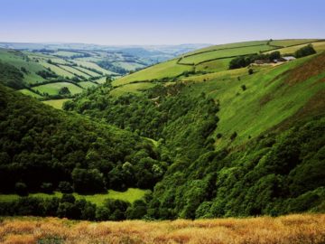 15 Great Days Out in Somerset to Enjoy All Year | Day Out in England