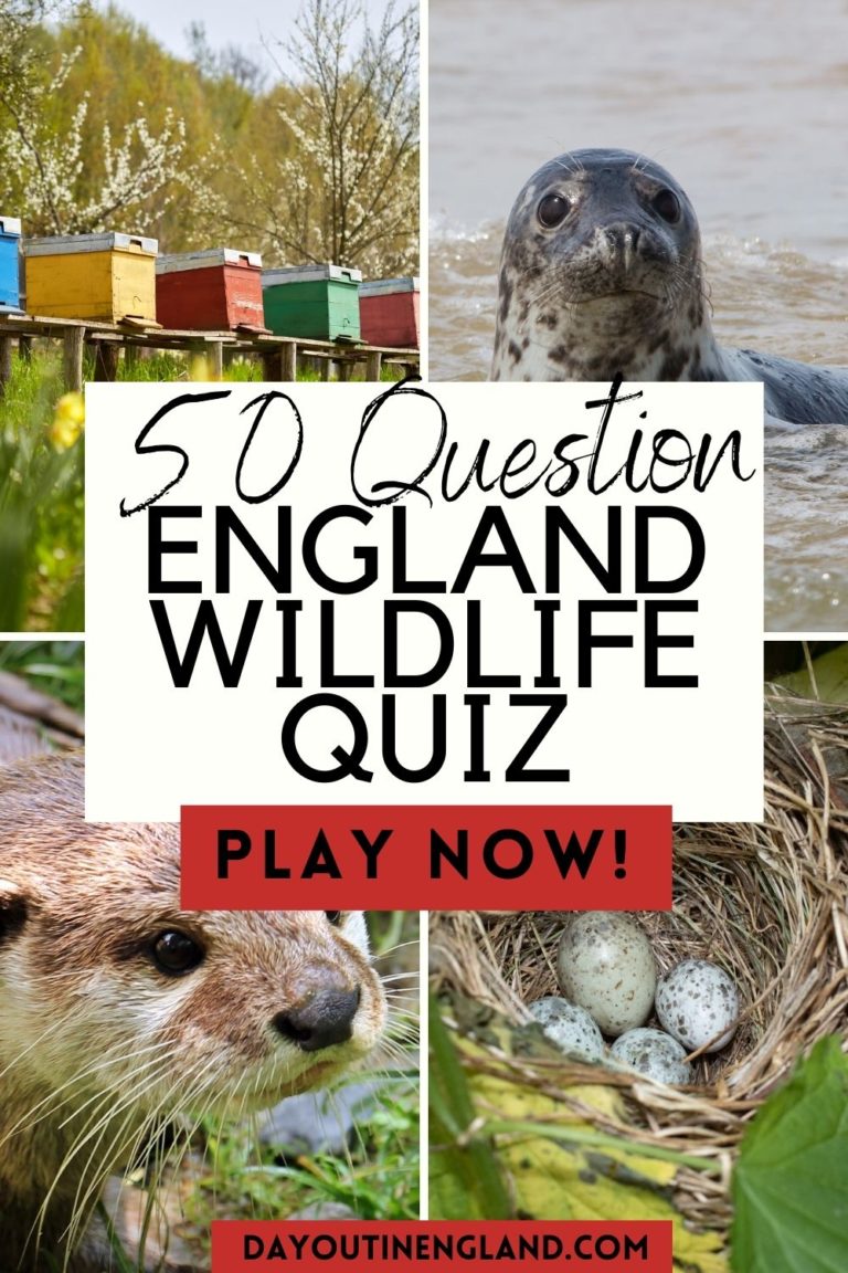 BIG England Wildlife Quiz: 50 Questions & Answers | Day Out in England