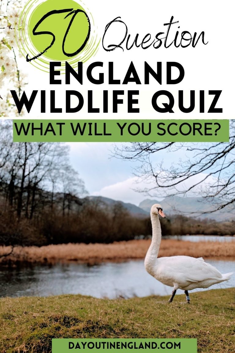 BIG England Wildlife Quiz: 50 Questions & Answers | Day Out in England