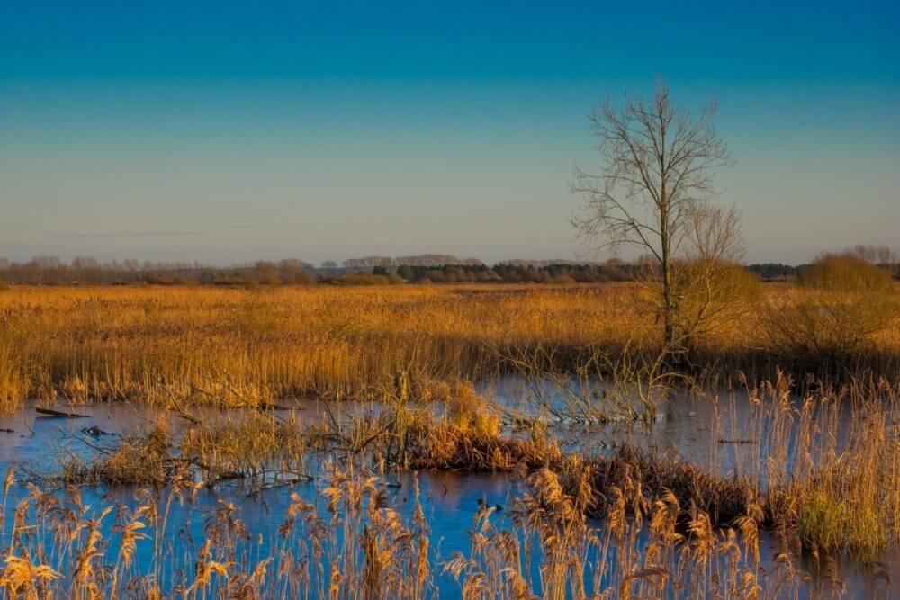 10 Best Days Out in Suffolk for Everyone | Day Out in England