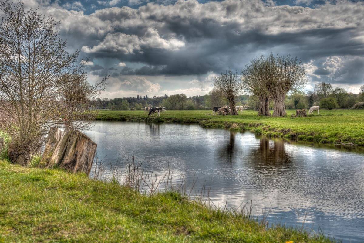 10 Best Days Out in Suffolk for Everyone | Day Out in England