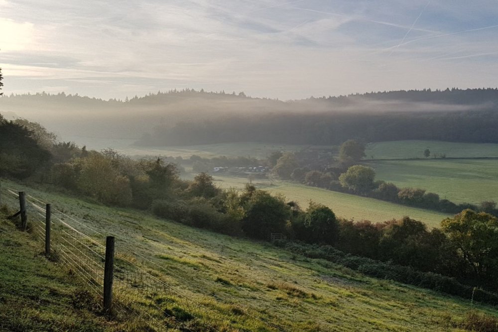 13 Brilliant Days Out in Surrey for All the Family | Day Out in England