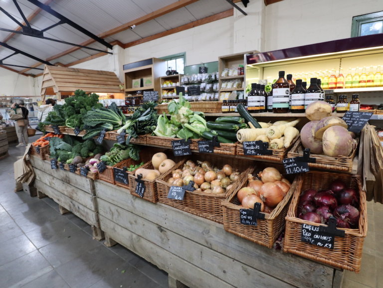 17+ Best Things to Do on Hayling Island for a Day Out | Day Out in England