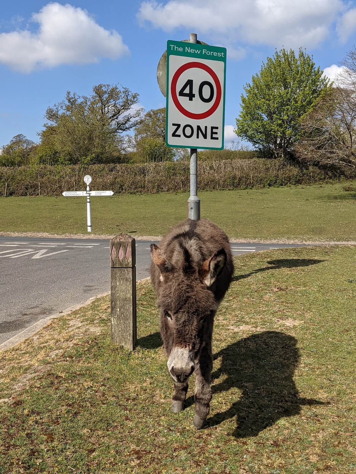 How to Do the Solent Way Walk in 6 Day Trips (by Public Transport & Car ...