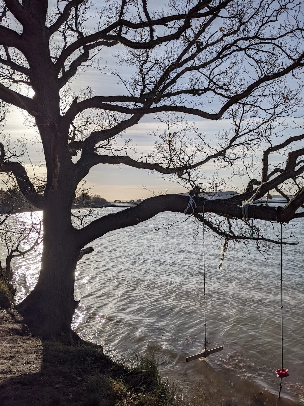 How to Do the Solent Way Walk in 6 Day Trips (by Public Transport & Car ...