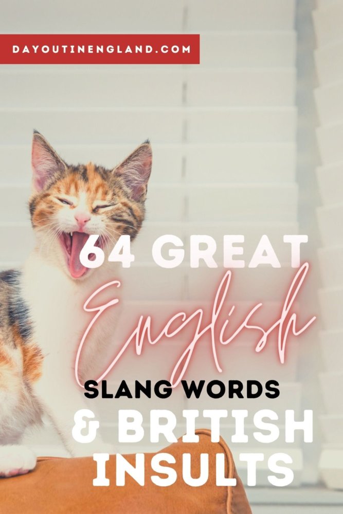 64 Great English Slang Words + Funny British Insults | Day Out in England