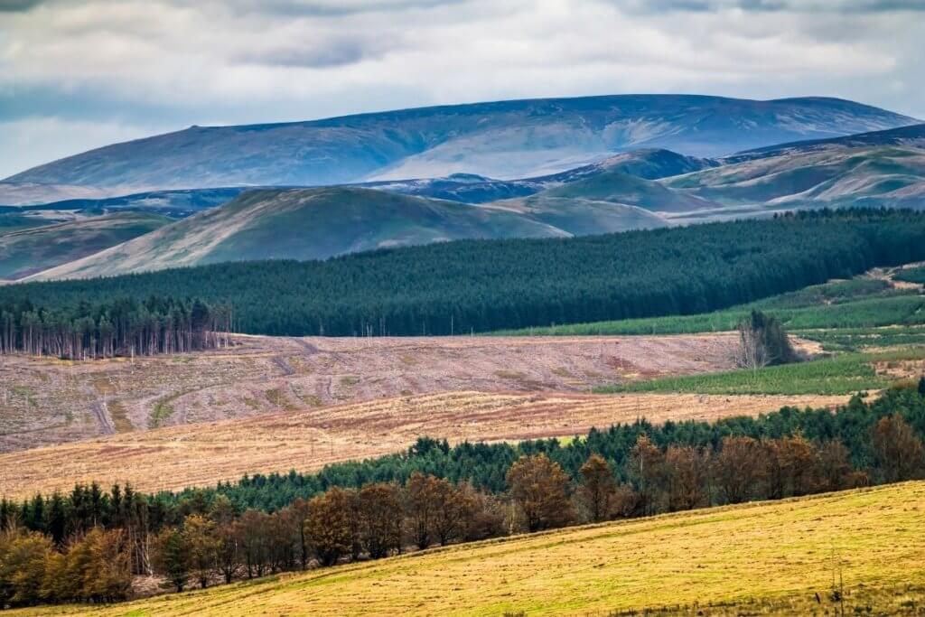 18 Best Days Out in Northumberland for All the Family | Day Out in England