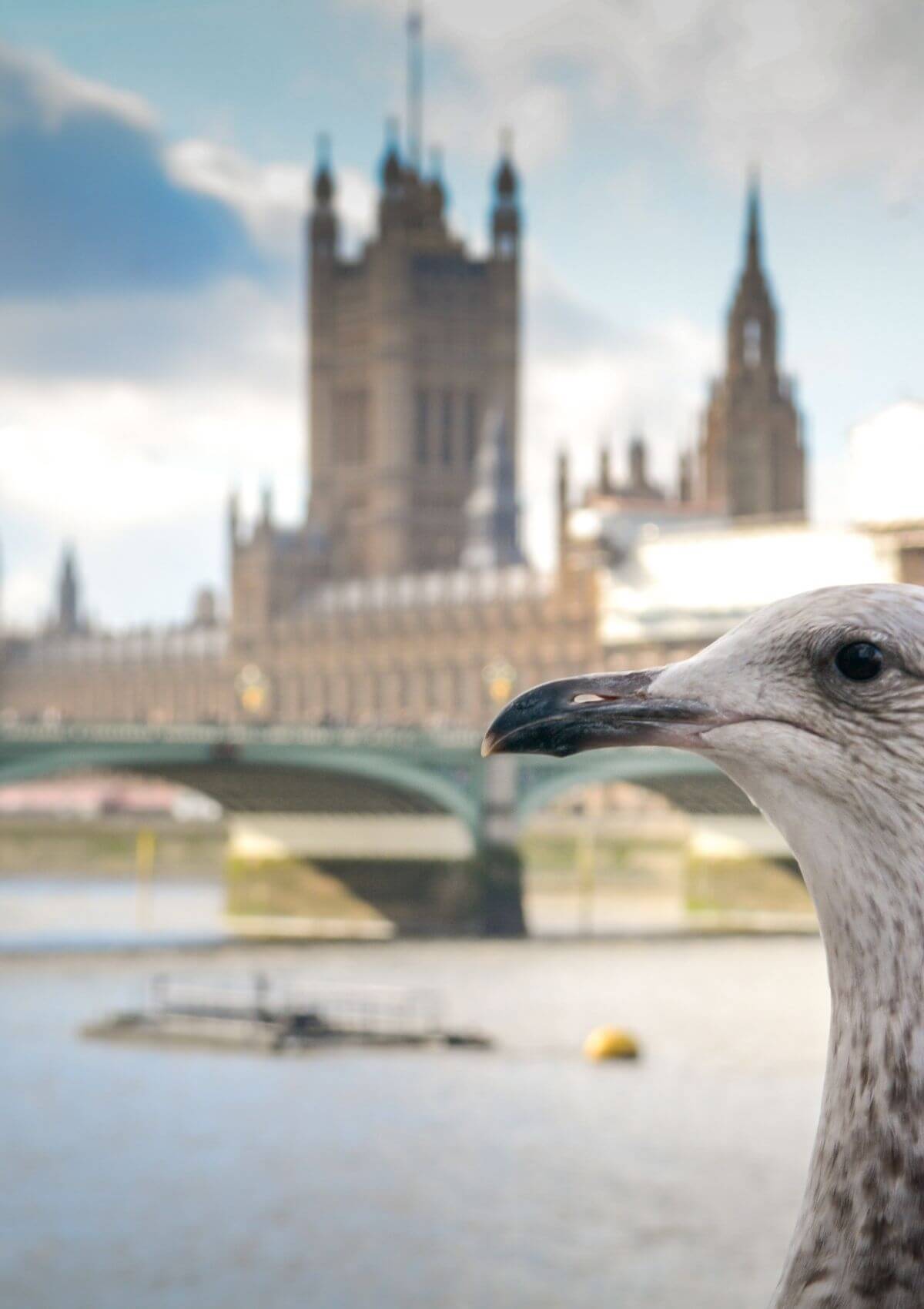 BIG London Quiz: 50 Questions + Answers | Day Out in England