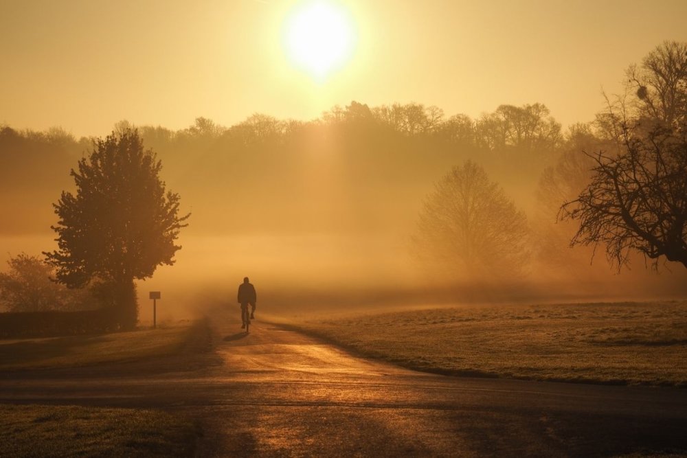 How to Do a Brilliant Day Trip to Lundy Island, Devon | Day Out in England