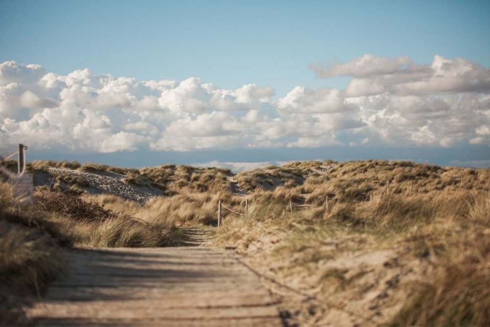 18 Glorious White Sand Beaches in England You Need to See | Day Out in ...