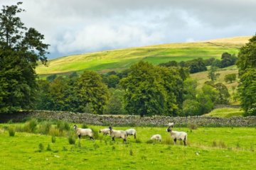 16 Ideas for a Brilliant Day Out in County Durham | Day Out in England