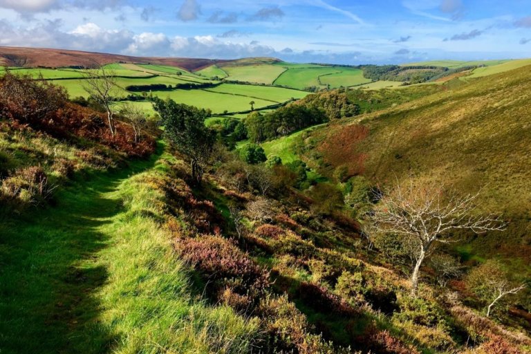 10 Beautiful National Parks in England: Which to Visit in 2025? | Day ...