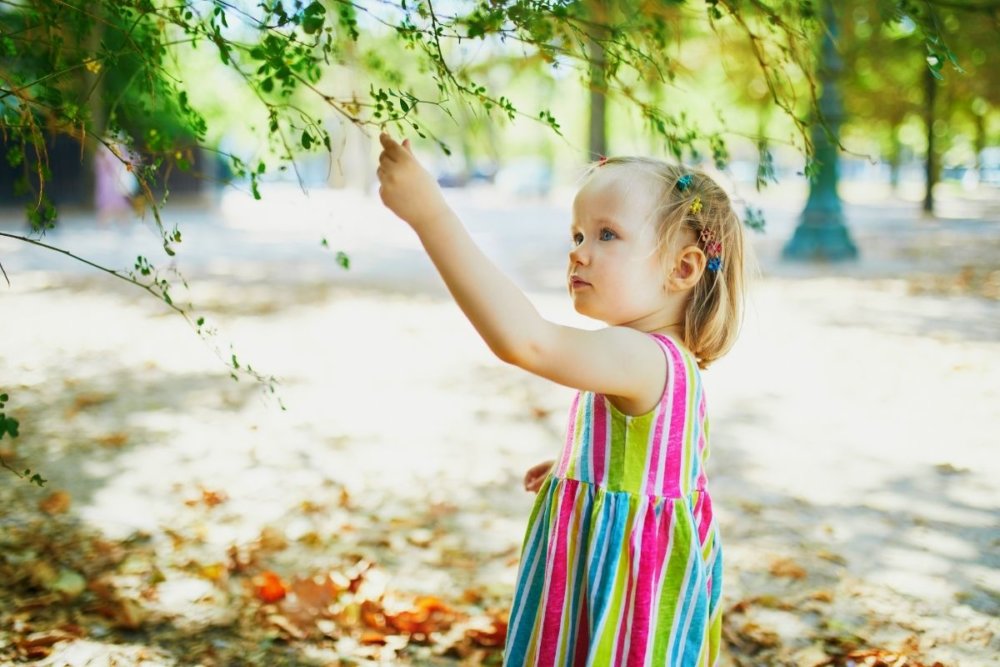 15 Tips for a Successful Children's Day Out | Day Out in England
