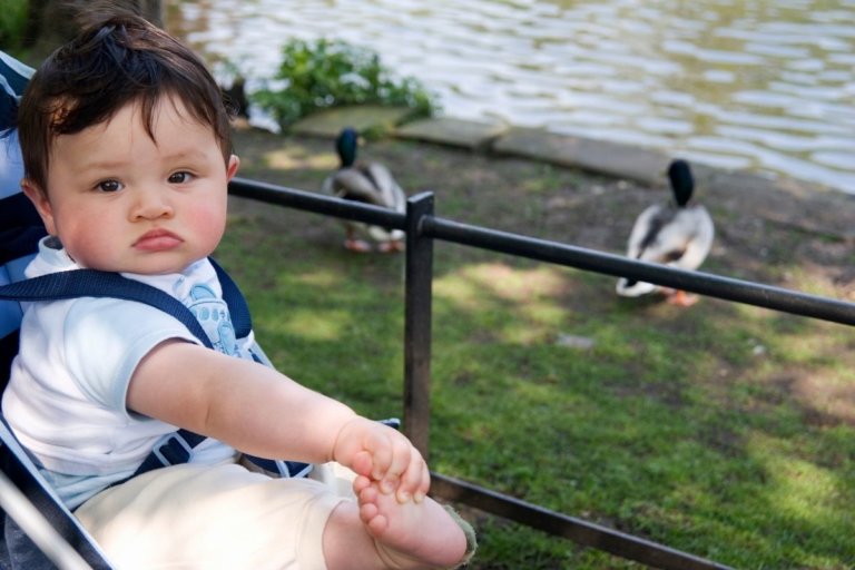 14 Brilliant Ideas For The Best Days Out For Babies Day Out In England