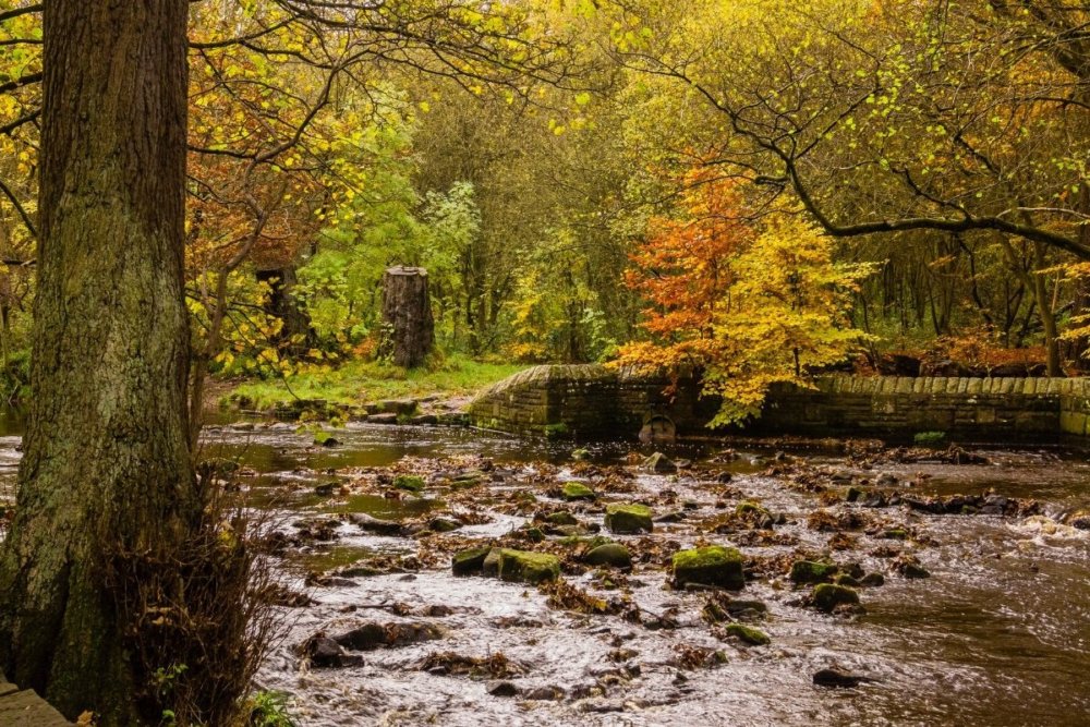 50 BIG England Nature Quiz Questions + Picture Round | Day Out in England