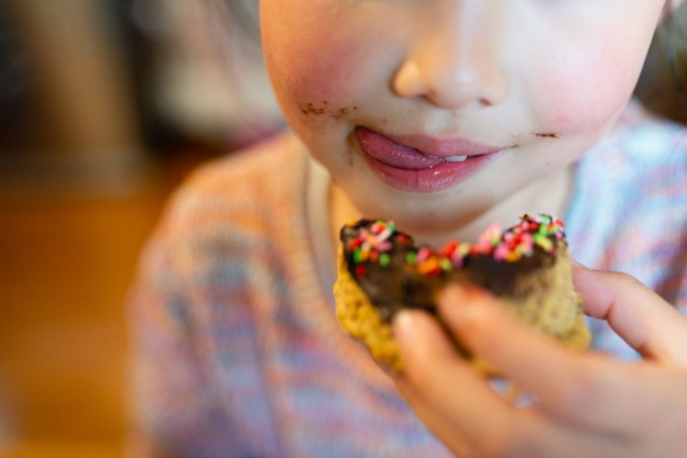 13 Great Half Term Things to Do for a Day Out | Day Out in England
