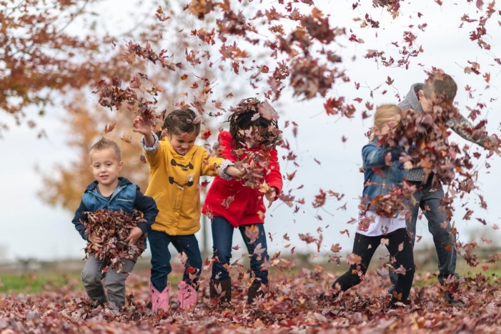 13 Great Half Term Things to Do for a Day Out | Day Out in England