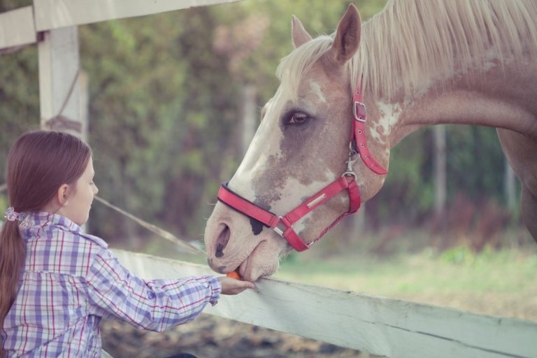 13 Great Half Term Things to Do for a Day Out | Day Out in England