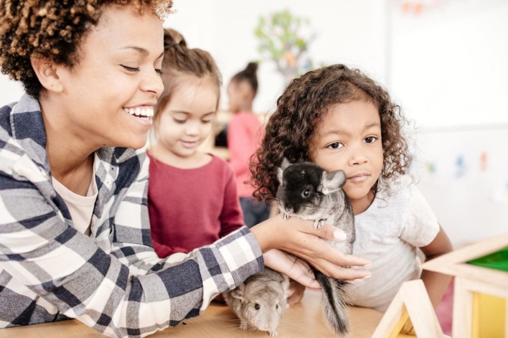 11 Amazing Days Out in Spring for 2025 | Day Out in England