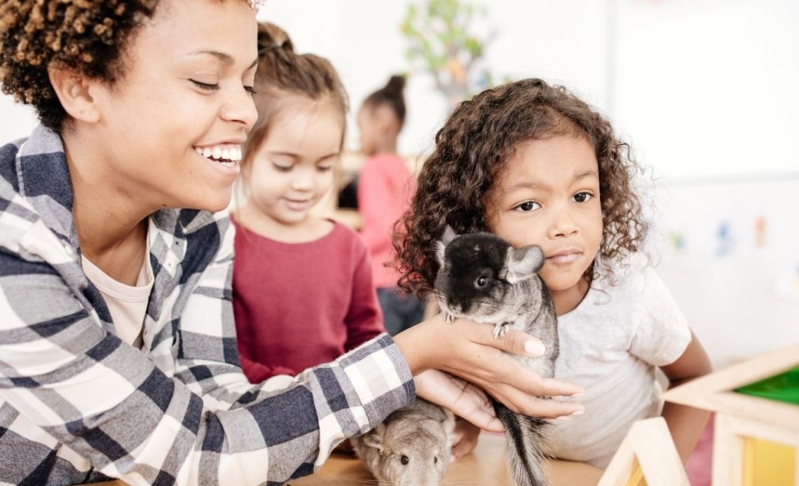 12 Great Half Term Things to Do for a Day Out | Day Out in England