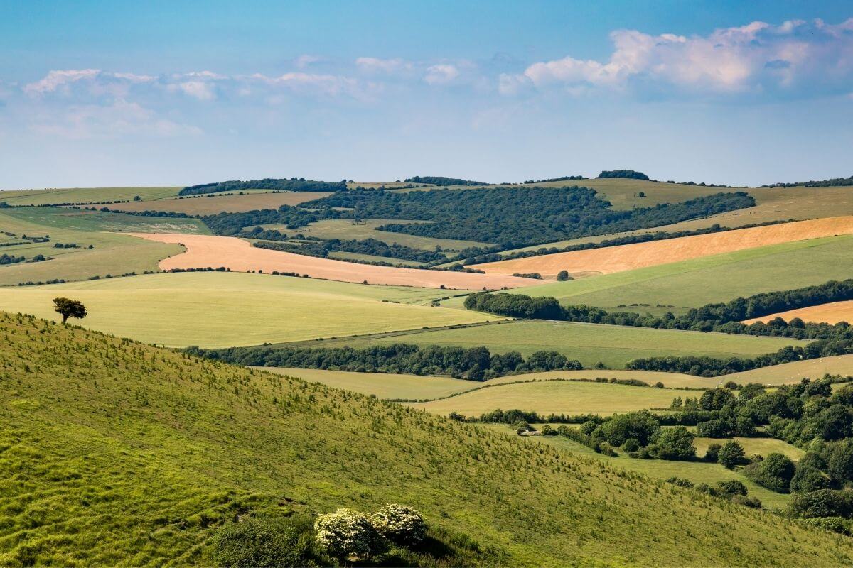 13 Great Tips You NEED for Walking the South Downs Way in 2025 | Day ...