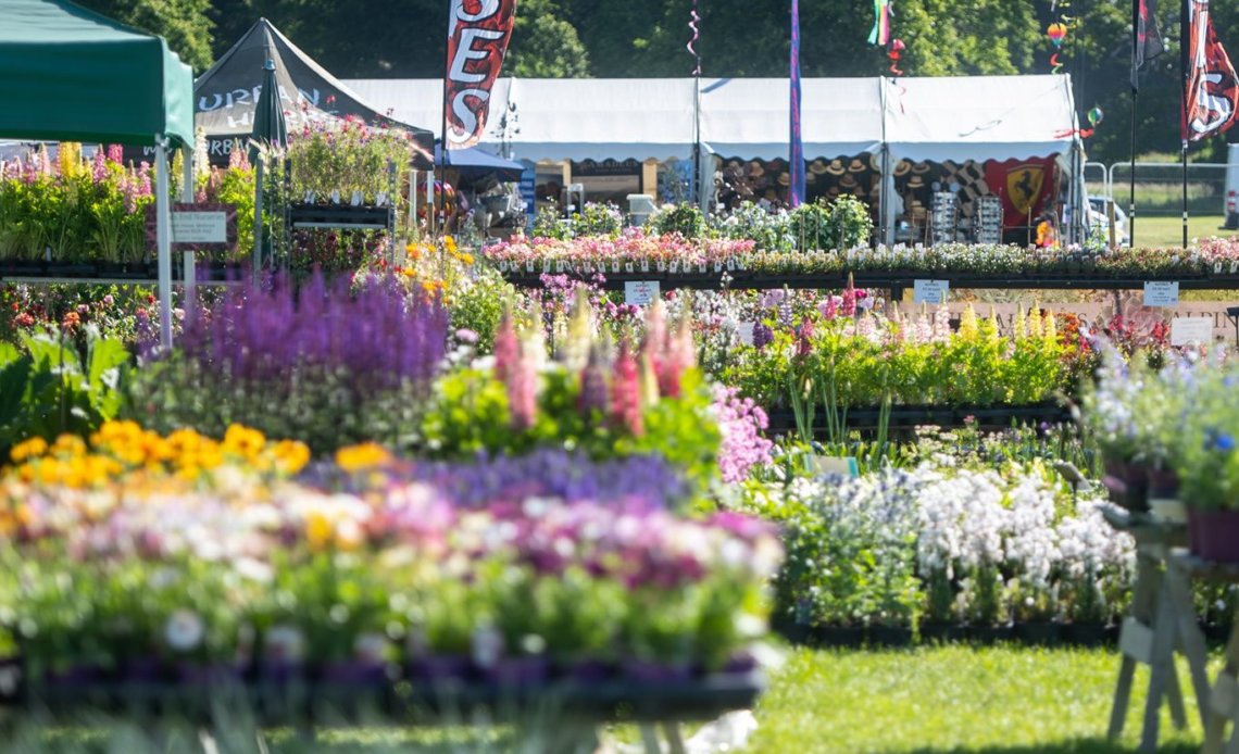 5 Wonderful Flower Shows in England to Visit This Summer | Day Out in ...