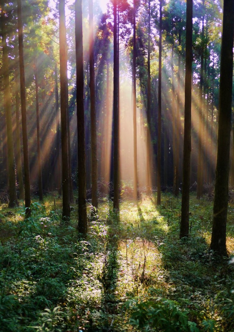 20 Amazing Days Out in October in England for 2025 | Day Out in England