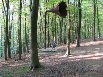 5 Best Forest Walks for Nature Lovers in the South East | Day Out in ...