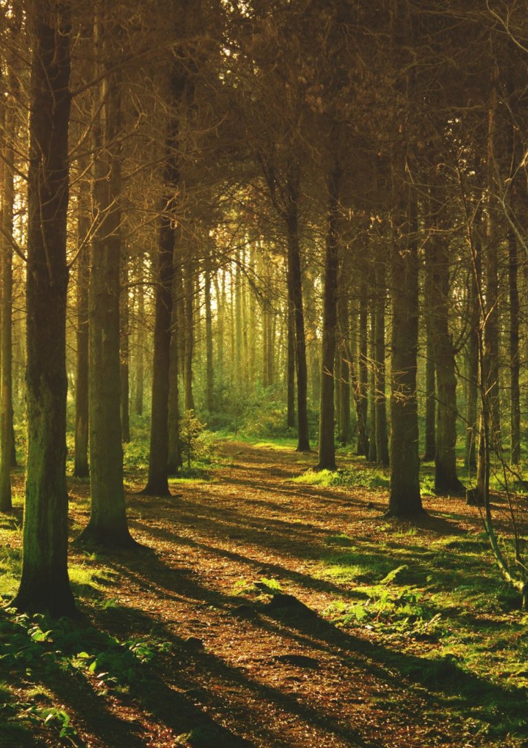 20 Amazing Days Out in October in England for 2025 | Day Out in England