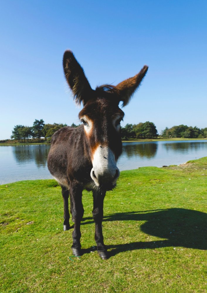 20 Amazing Days Out in October in England for 2025 | Day Out in England