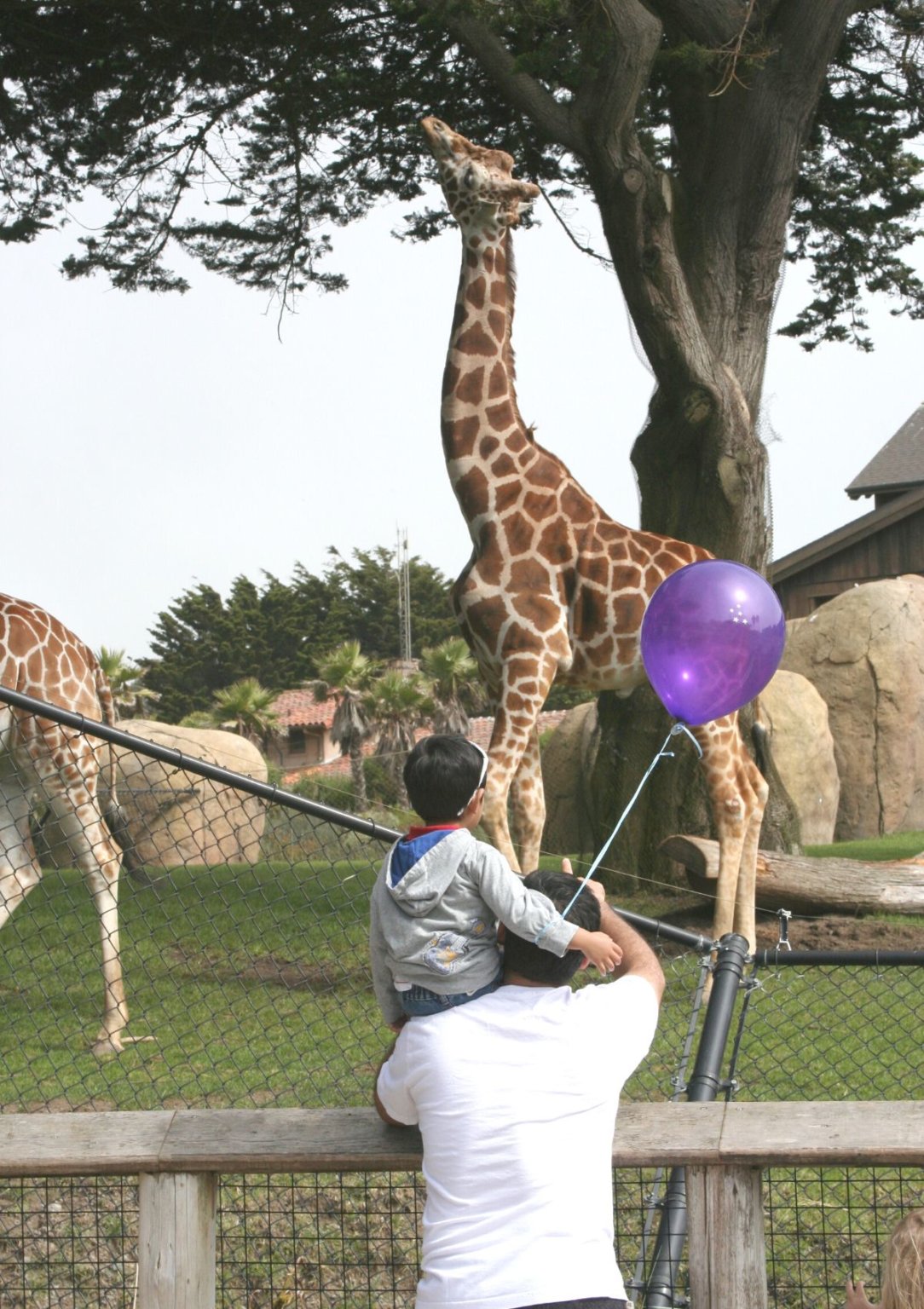 20 Amazing Days Out in October in England for 2025 | Day Out in England