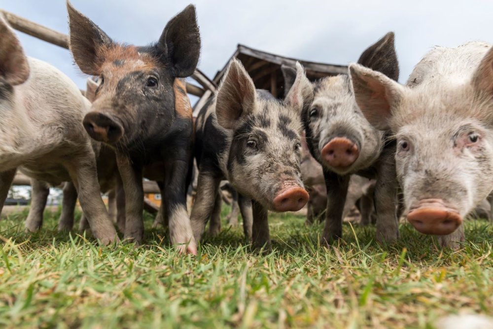 8 Best Cornwall Seaside Towns You Have To See | Day Out in England