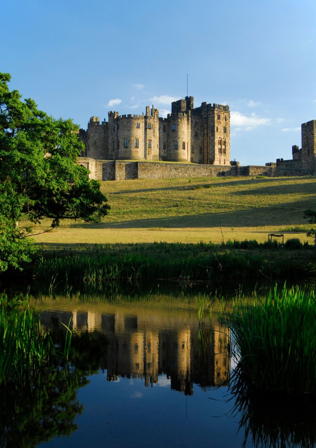 17 Fascinating Castles in England to Visit in 2025 | Day Out in England
