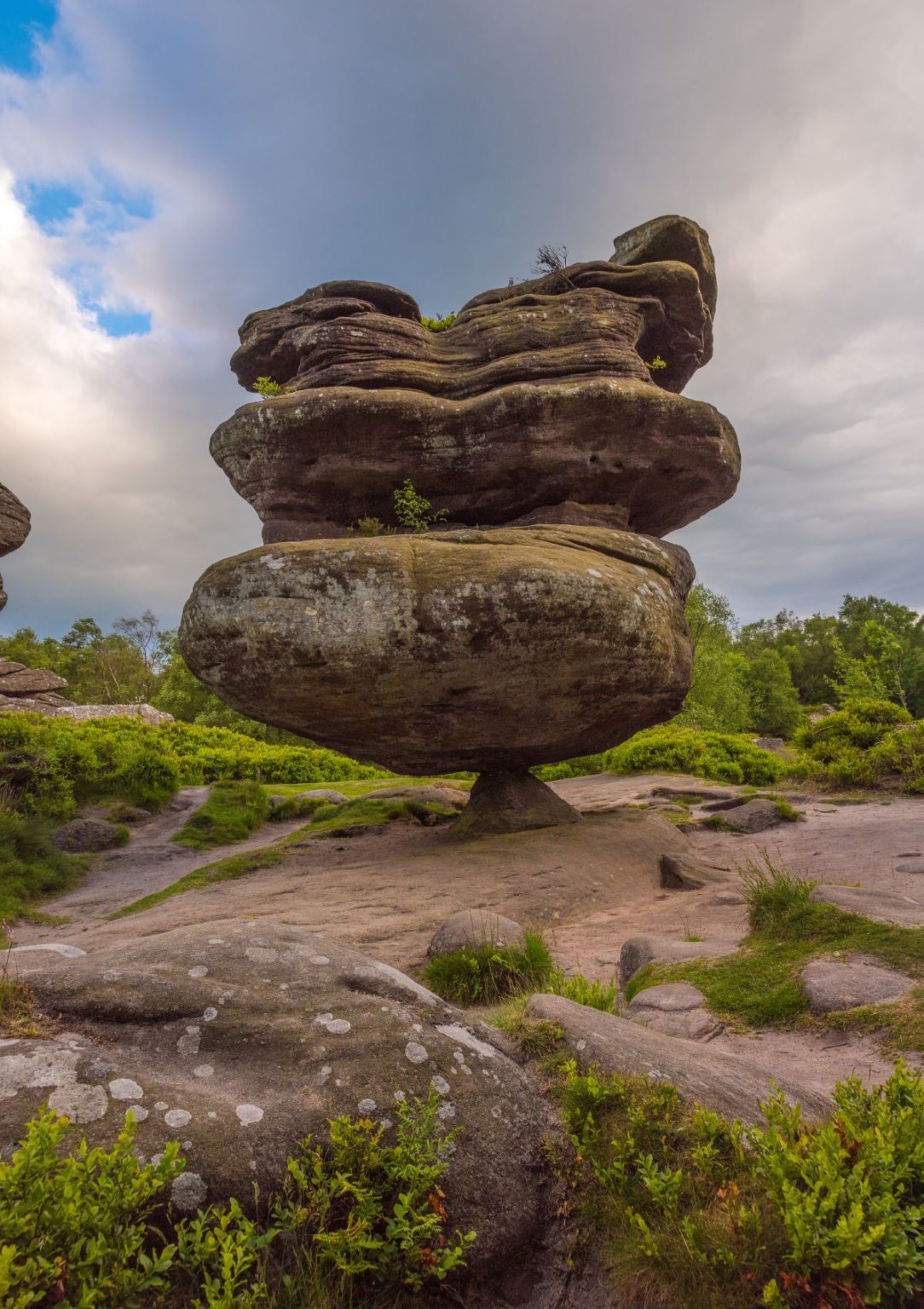 19 Amazing Things to Do in Harrogate on a Day Out | Day Out in England
