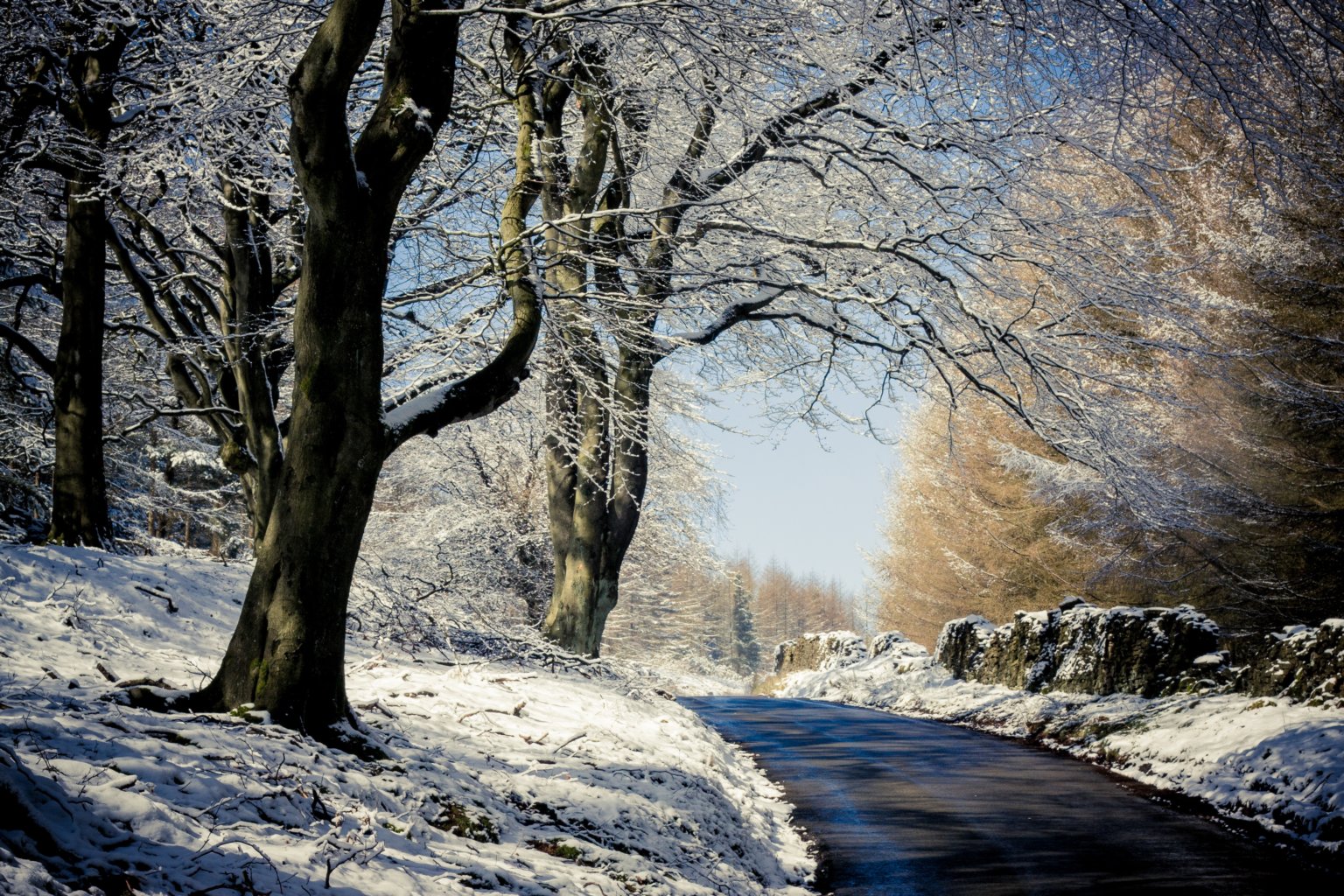 14 Absolute Best Days Out in January in England | Day Out in England