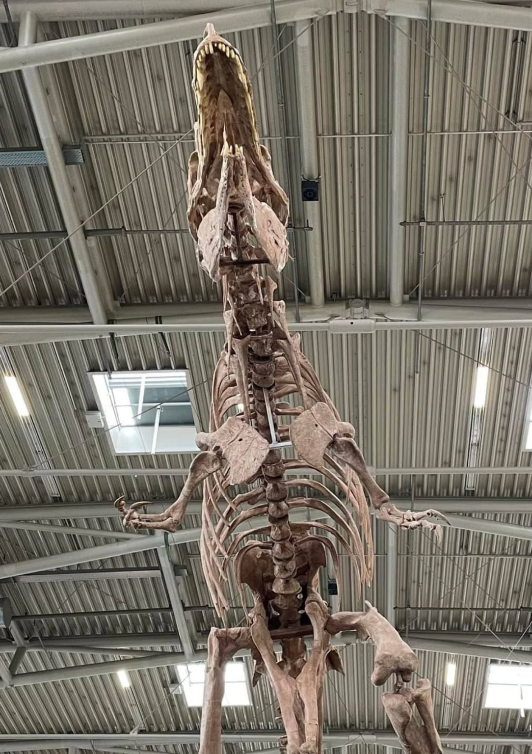 9 Thrilling Dinosaur Days Out in England for 2025 | Day Out in England