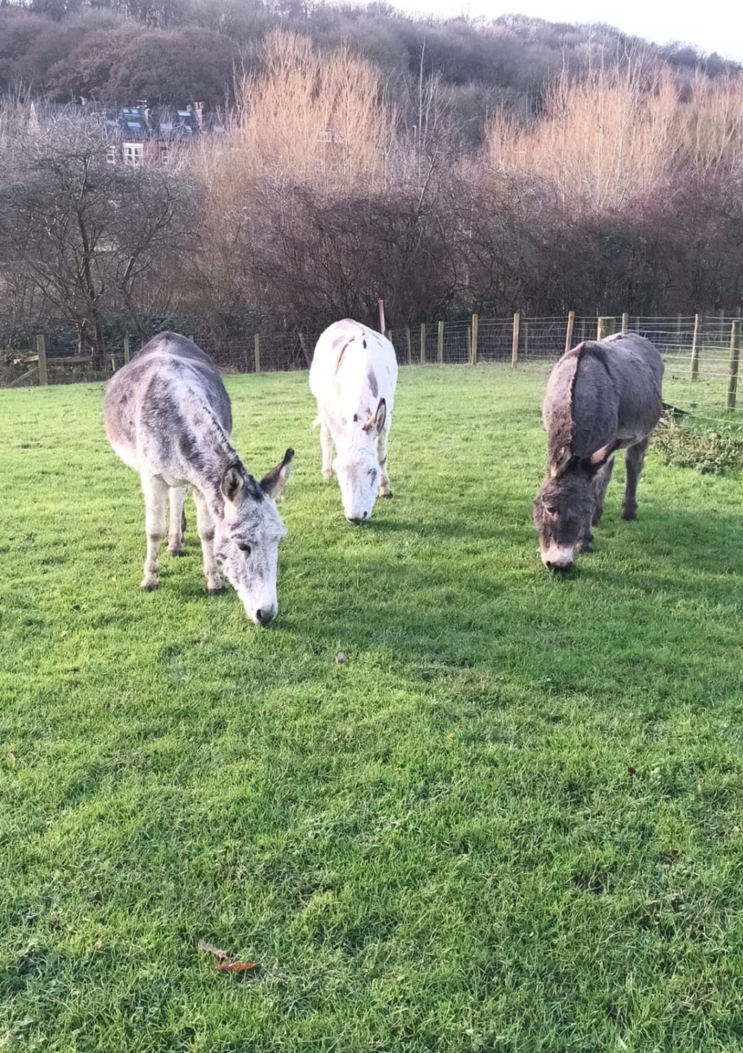 17 Exciting Things to Do on a Day Out in Leeds | Day Out in England