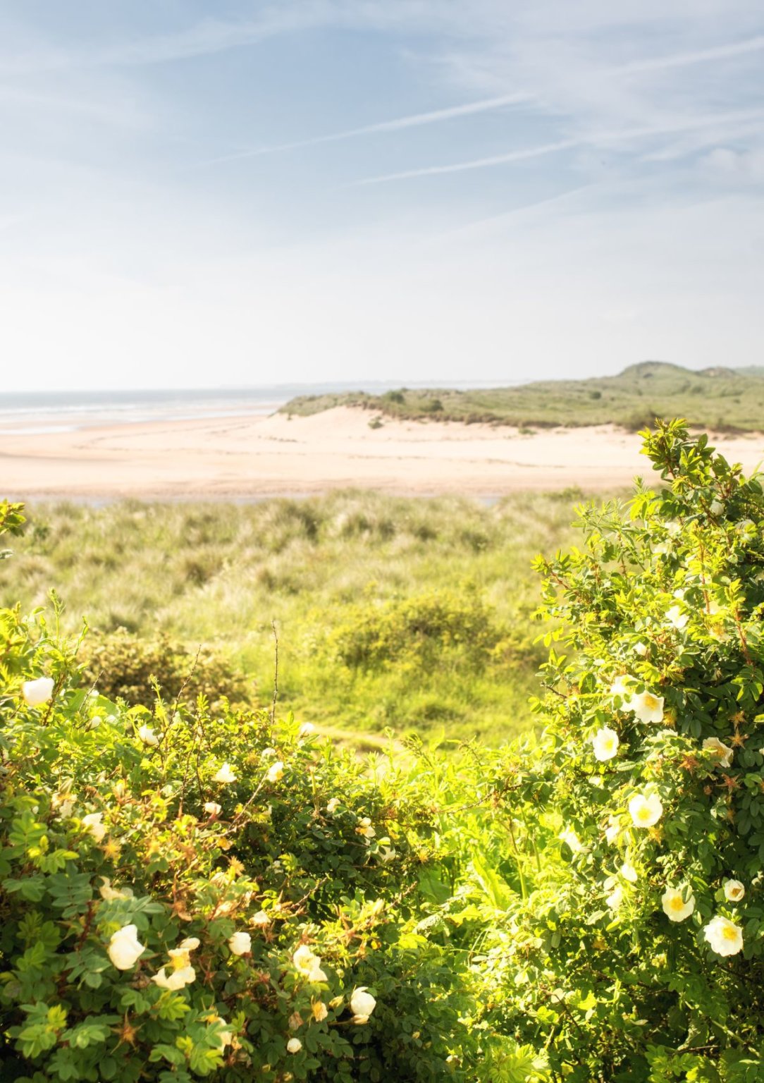 9 Best Beaches in Northumberland You Need to Visit | Day Out in England