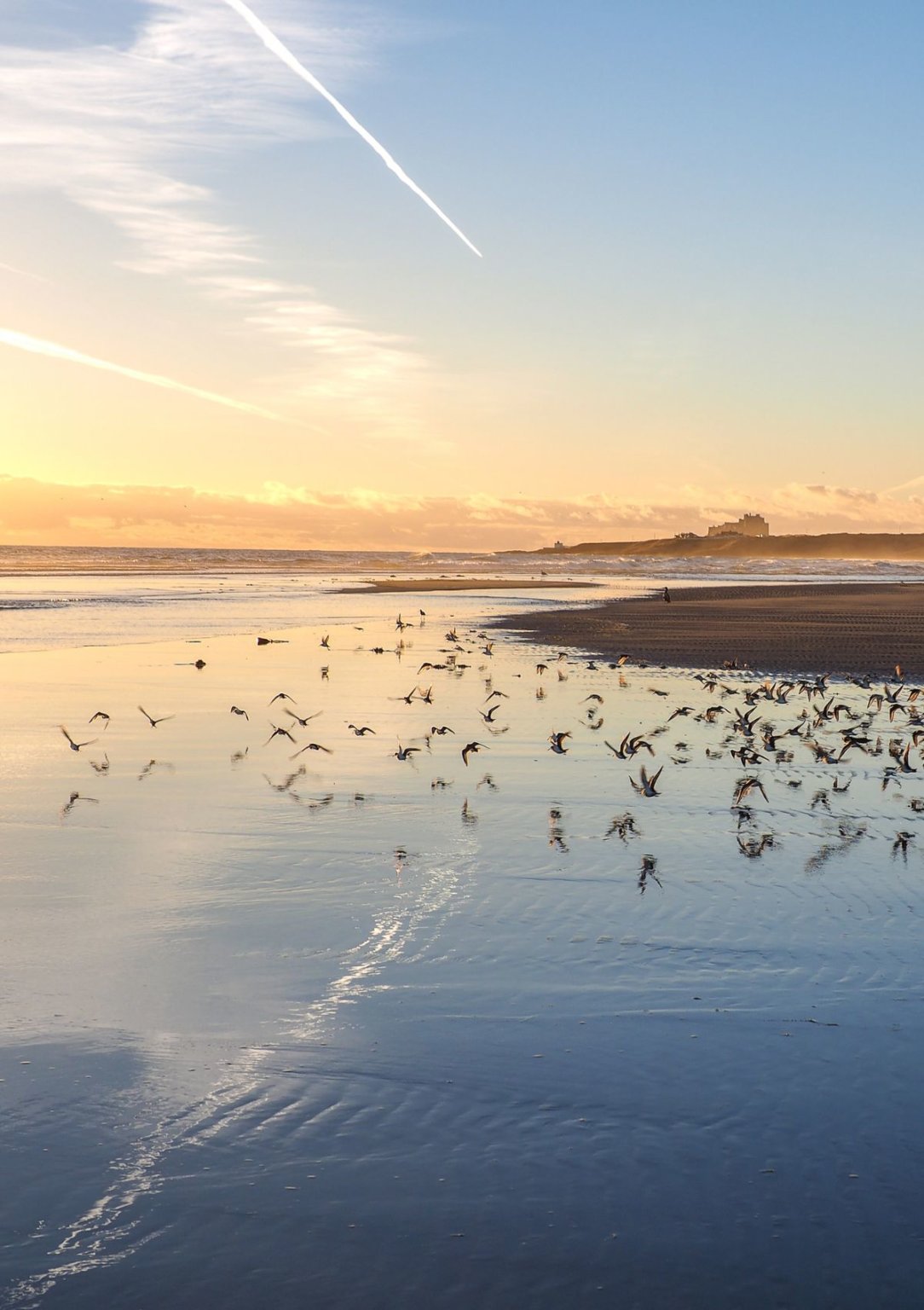 7 Amazing Things to Do in Seahouses in Northumberland | Day Out in England