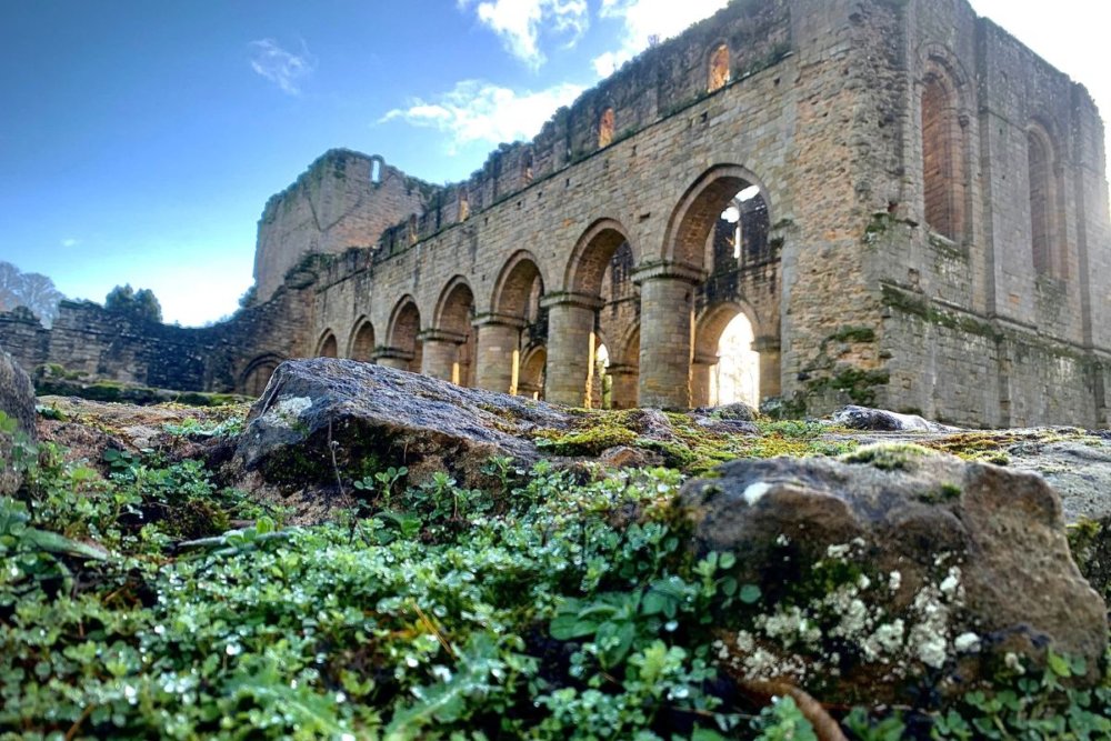 11 Best Abbeys in England for a Medieval Day Out | Day Out in England