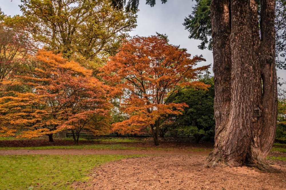 10 Best Arboretums in England for a Wholesome Day Out | Day Out in England