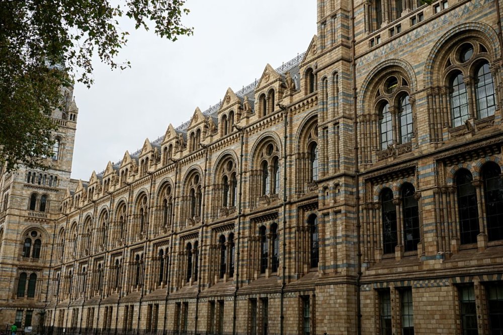 8 of the Best Libraries in England for Book Lovers | Day Out in England